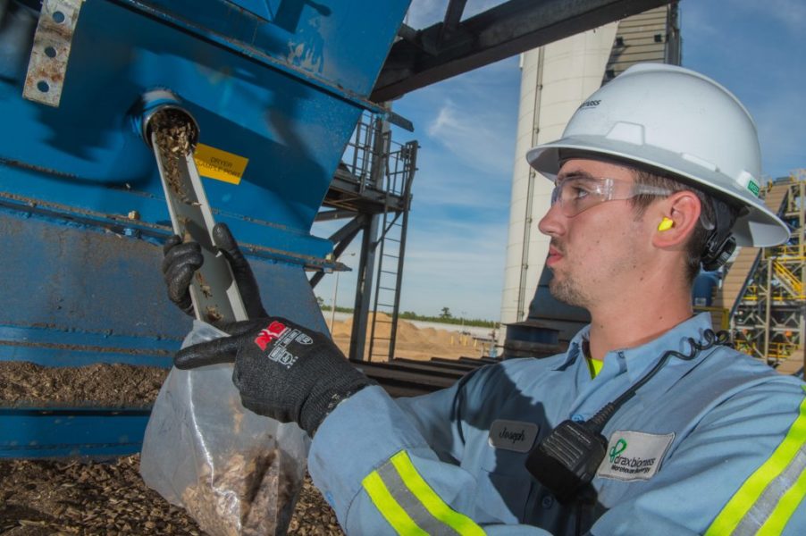 9 steps to making a compressed wood pellet - Drax Canada