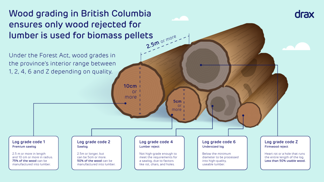 Making the grade: The careful process of choosing what wood is right ...