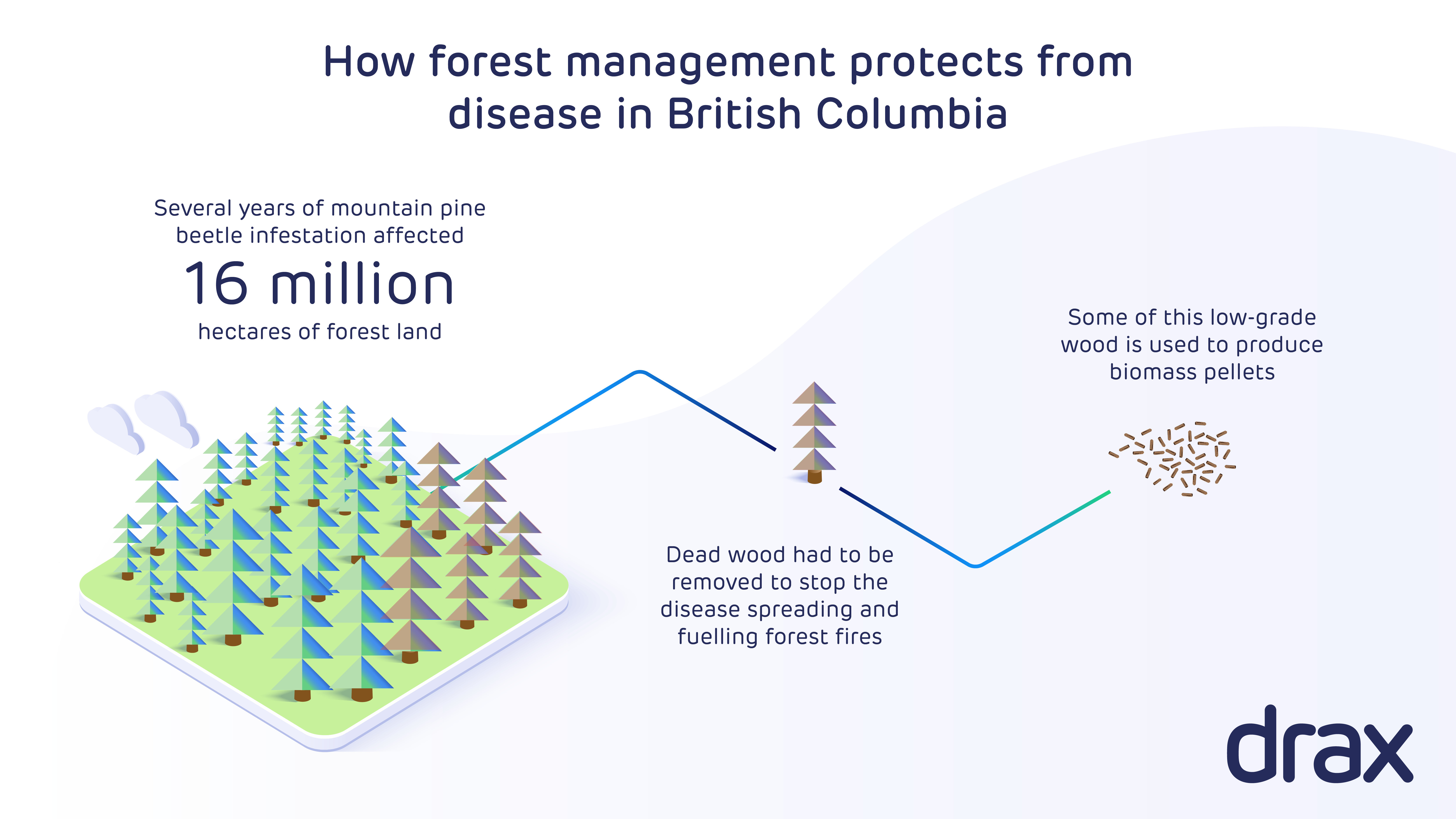 Making the grade: The careful process of choosing what wood is right ...