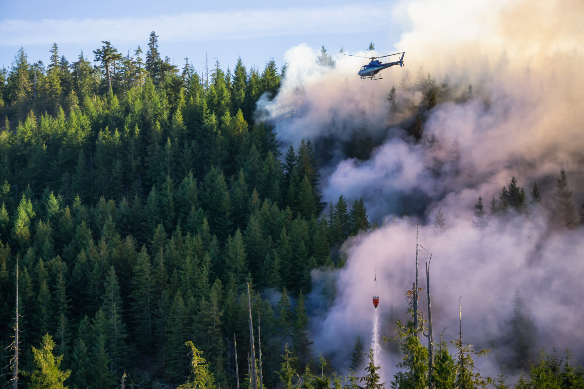 Building fire resilience with forest management in British Columbia ...