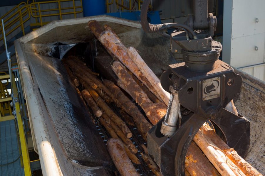 9 steps to making a compressed wood pellet - Drax US