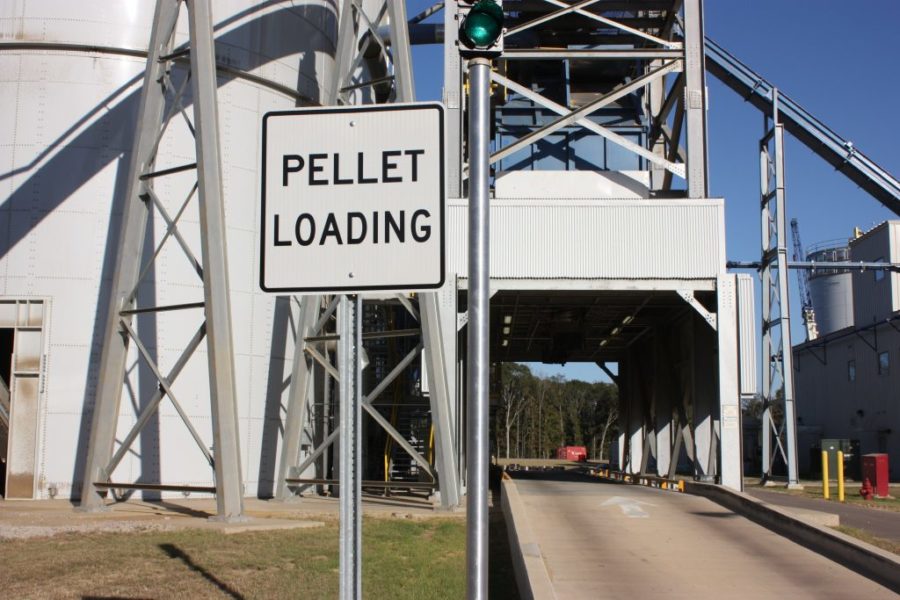 9 steps to making a compressed wood pellet - Drax US