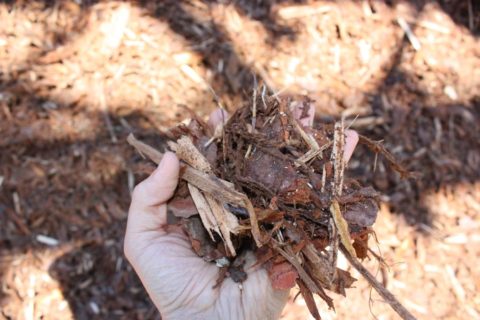 Hog fuel: the useful fuel with an unusual name - Drax US