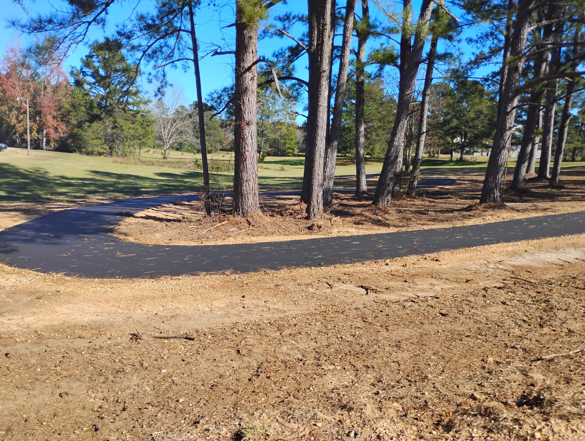 Bringing Health and Wellness to a Small Town Community: The Gift of a ...