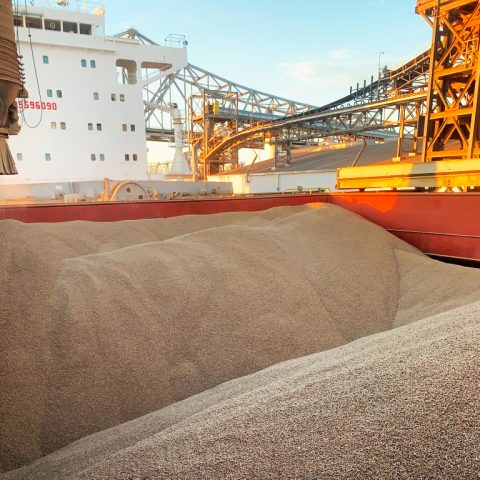 Drax's largest biomass shipment arrives at the UK's biggest biomass ...