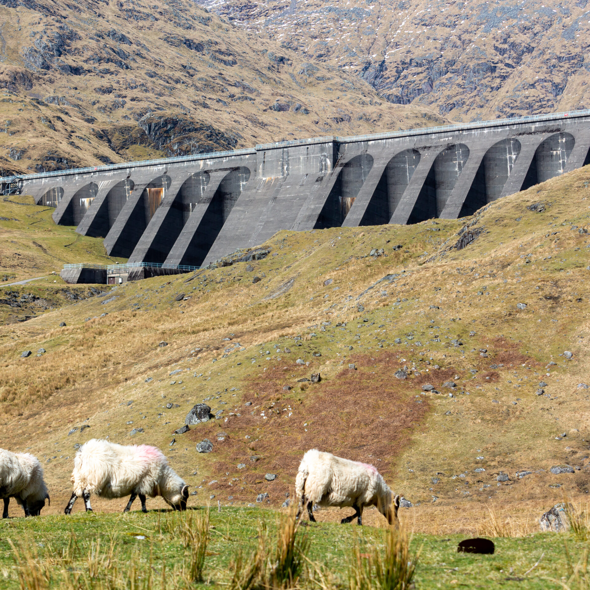 Visit Cruachan Power Station - Drax Global