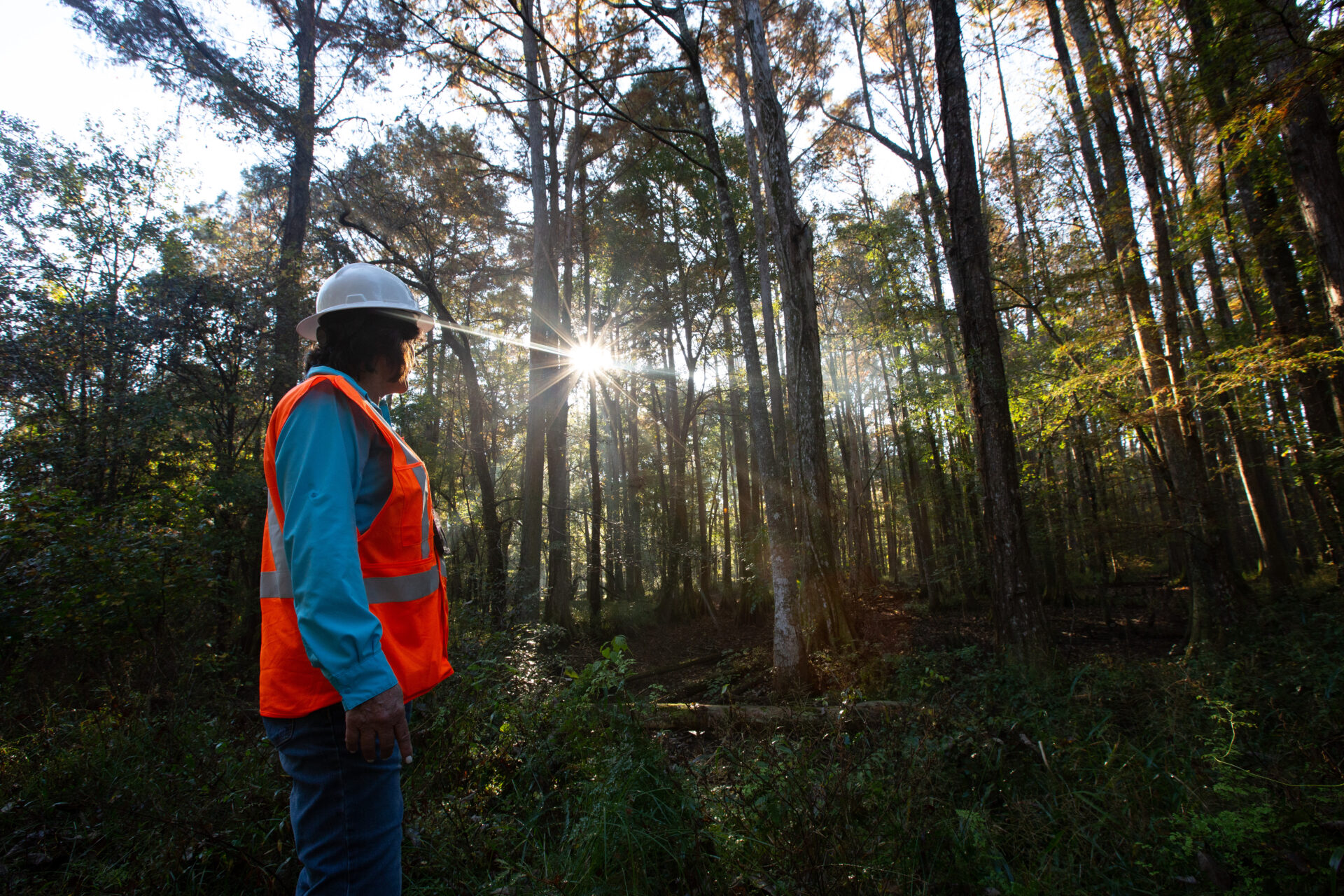 The impact of BECCS Done Well on Drax - Drax Global