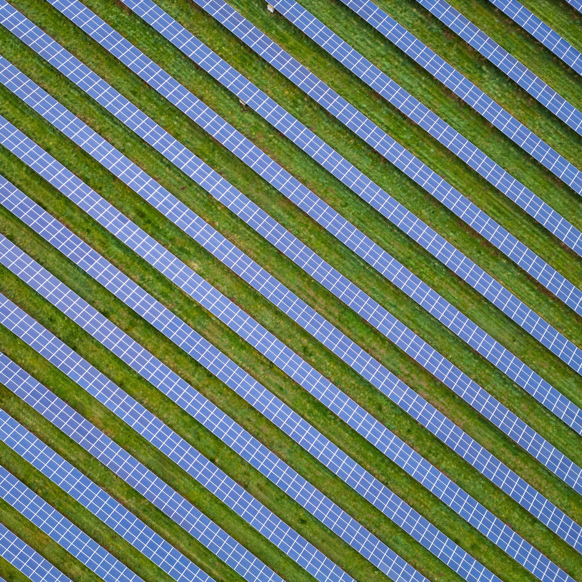 Analysis - Solar surges as Britain records its cleanest quarter ever ...